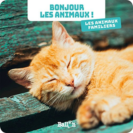 Livre Bonjour les animaux - Les animaux familiers BALLON : Comparateur ...