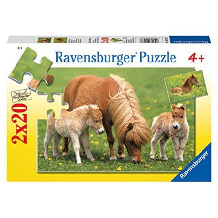 Puzzle - Poneys Jolie - 2x20 pièces RAVENSBURGER : Comparateur, Avis, Prix